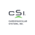CSII logo